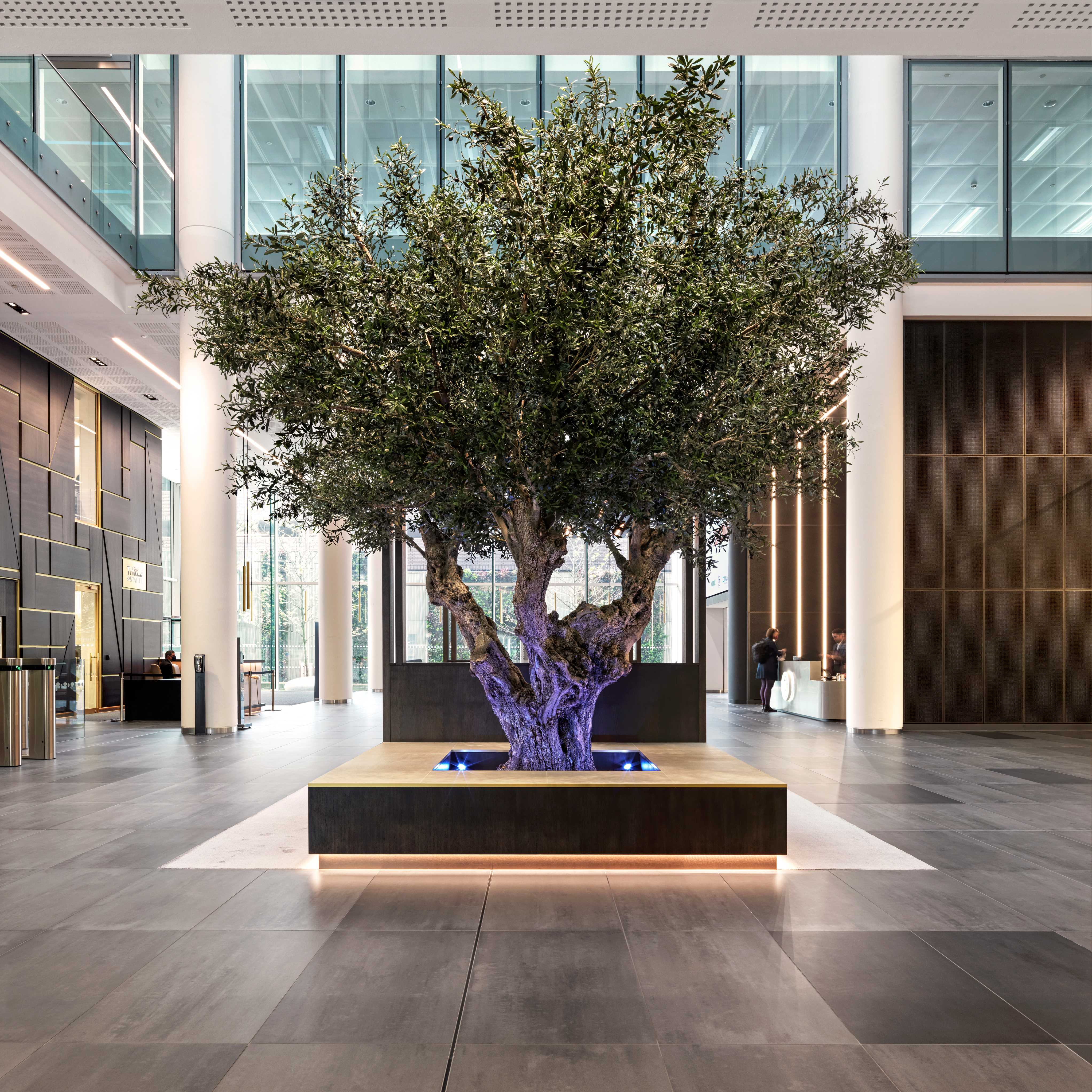 Discover the Beauty of Artificial Olive Trees
